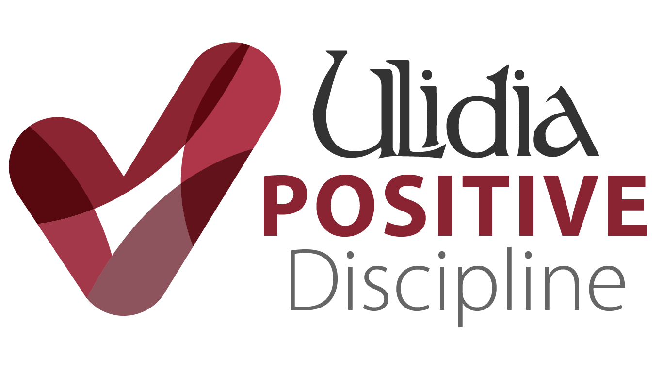 Pastoral Provision - Ulidia Integrated College
