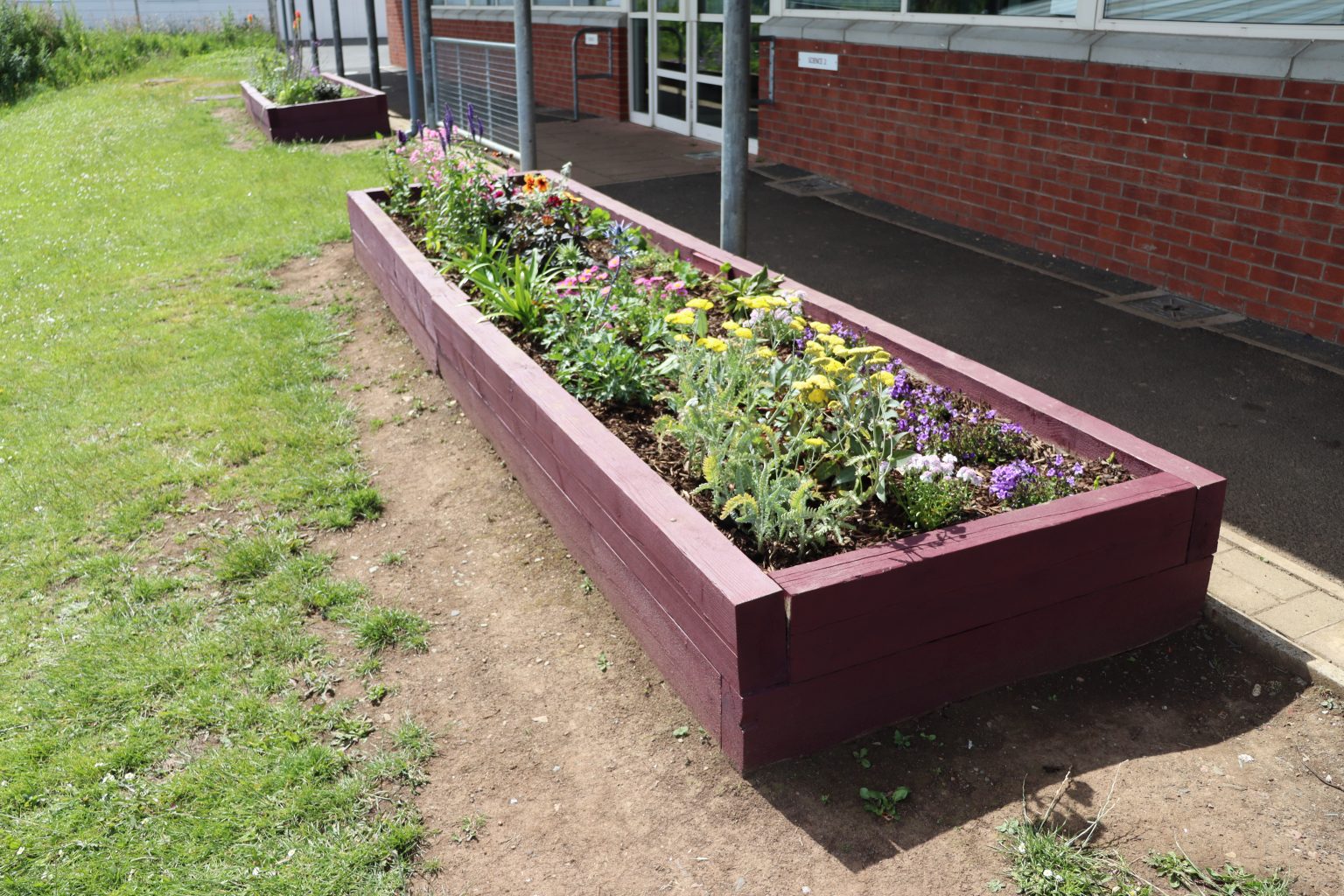 Ulidia Integrated College | School Pollinator Garden Grants Scheme